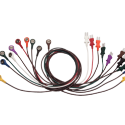 AAMI/AHA color-coded Archives - Spacelabs Healthcare